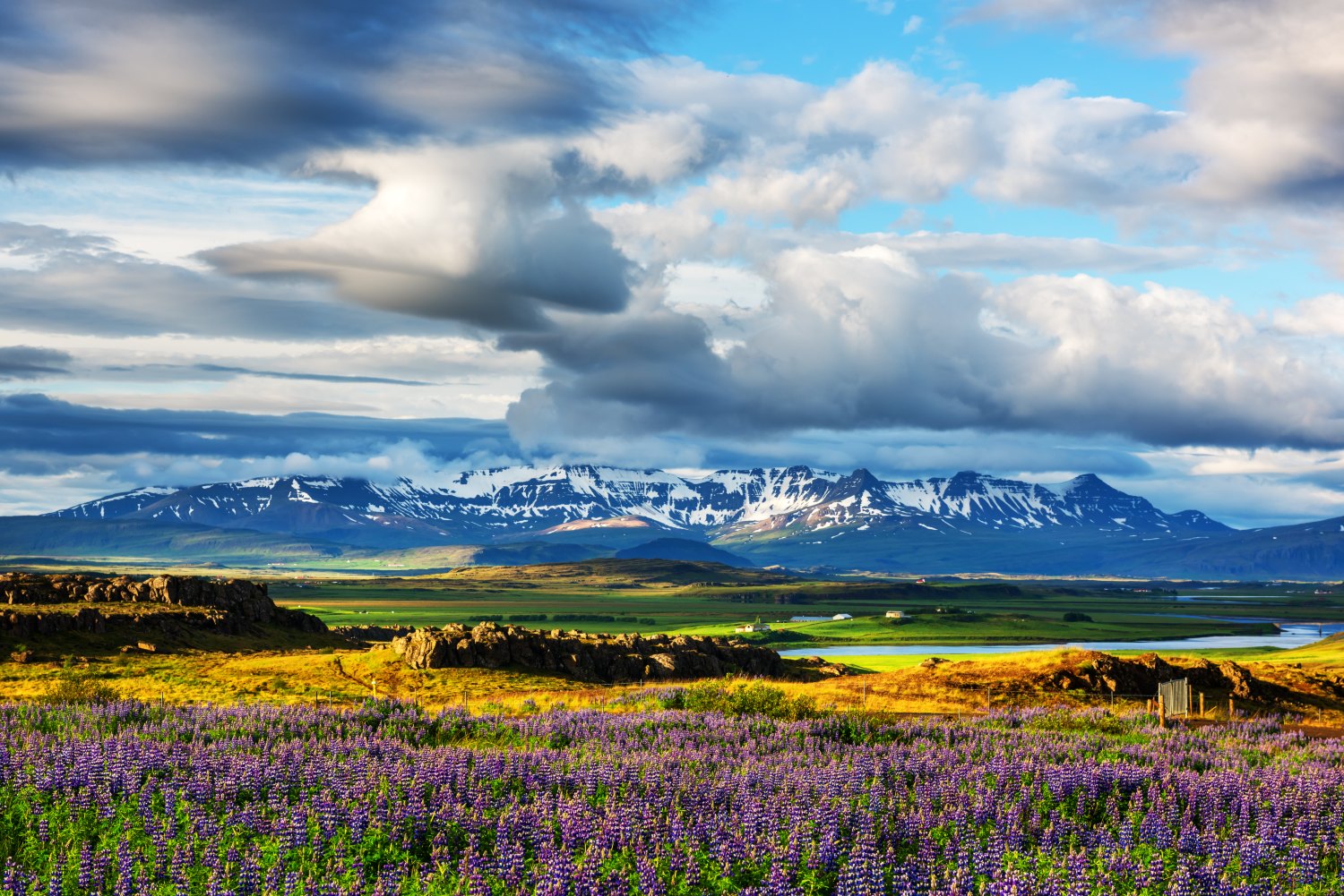 10 Surprising Facts to Know About Iceland - Geysir Car Rental